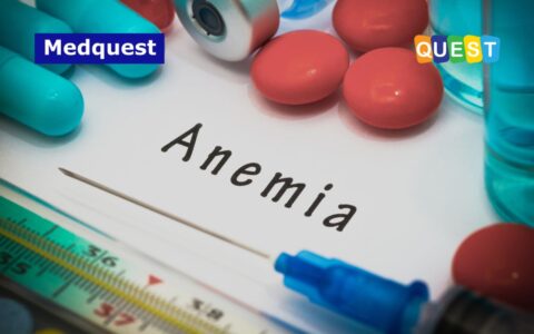 Apa itu Anemia? - Gejala, Tipe, Prevalensi dan Penanganan