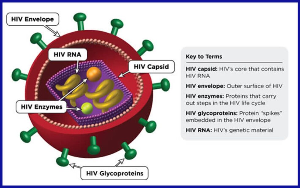 Bisakah Seseorang Terinfeksi HIV dan Sifilis Secara Bersamaan?